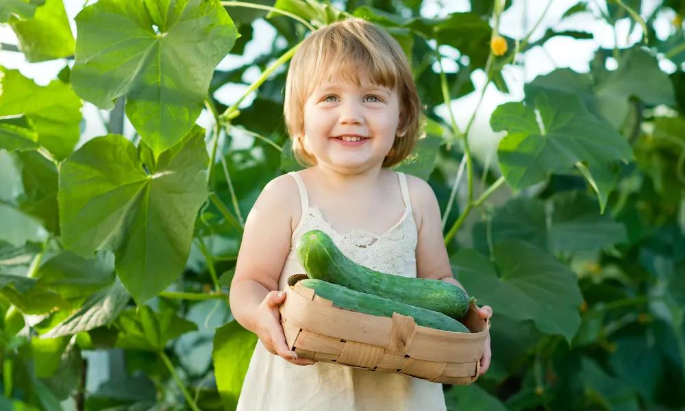 Queso Fresco Para Bebés: Opción Segura Y Nutritiva | Queso Destrabilla