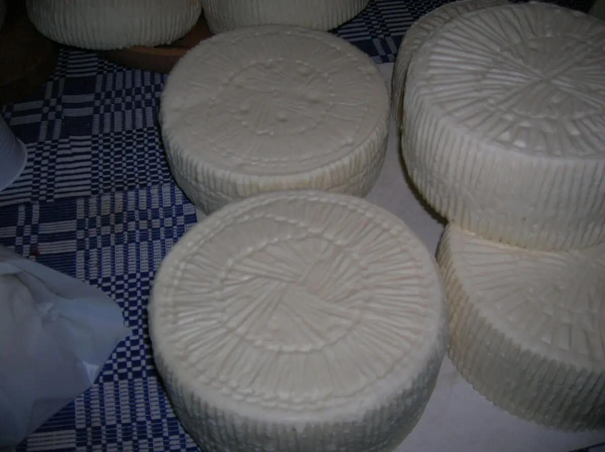 Diferencia Entre Queso Y Requesón: Proceso, Textura Y Nutrición | Queso ...
