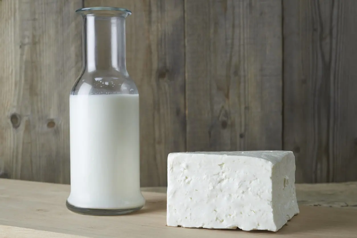 Beneficios De La Leche De Oveja En Quesos | Queso Destrabilla