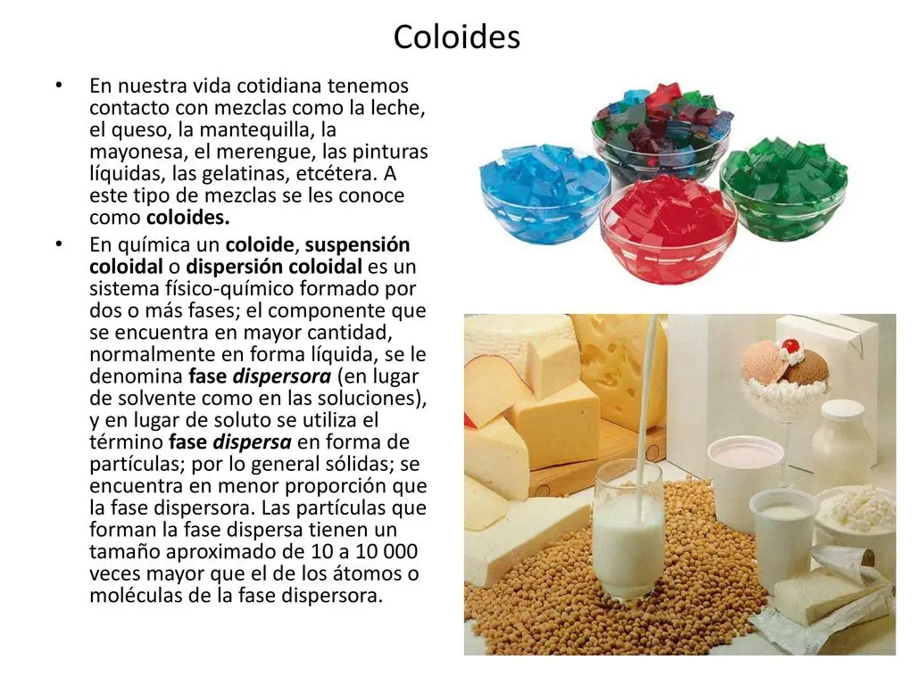 El Queso Como Coloide: Estructura Y Producción | Queso Destrabilla